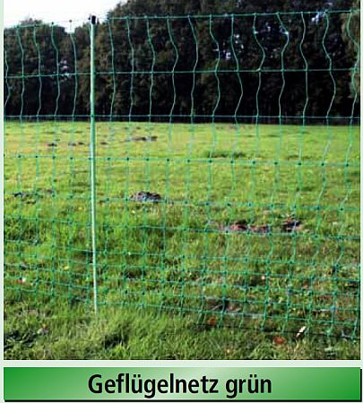 Euro-Netz Geflügel 112/2, Länge 50 m, grün | Euro-Netz 112 cm | Euro ...